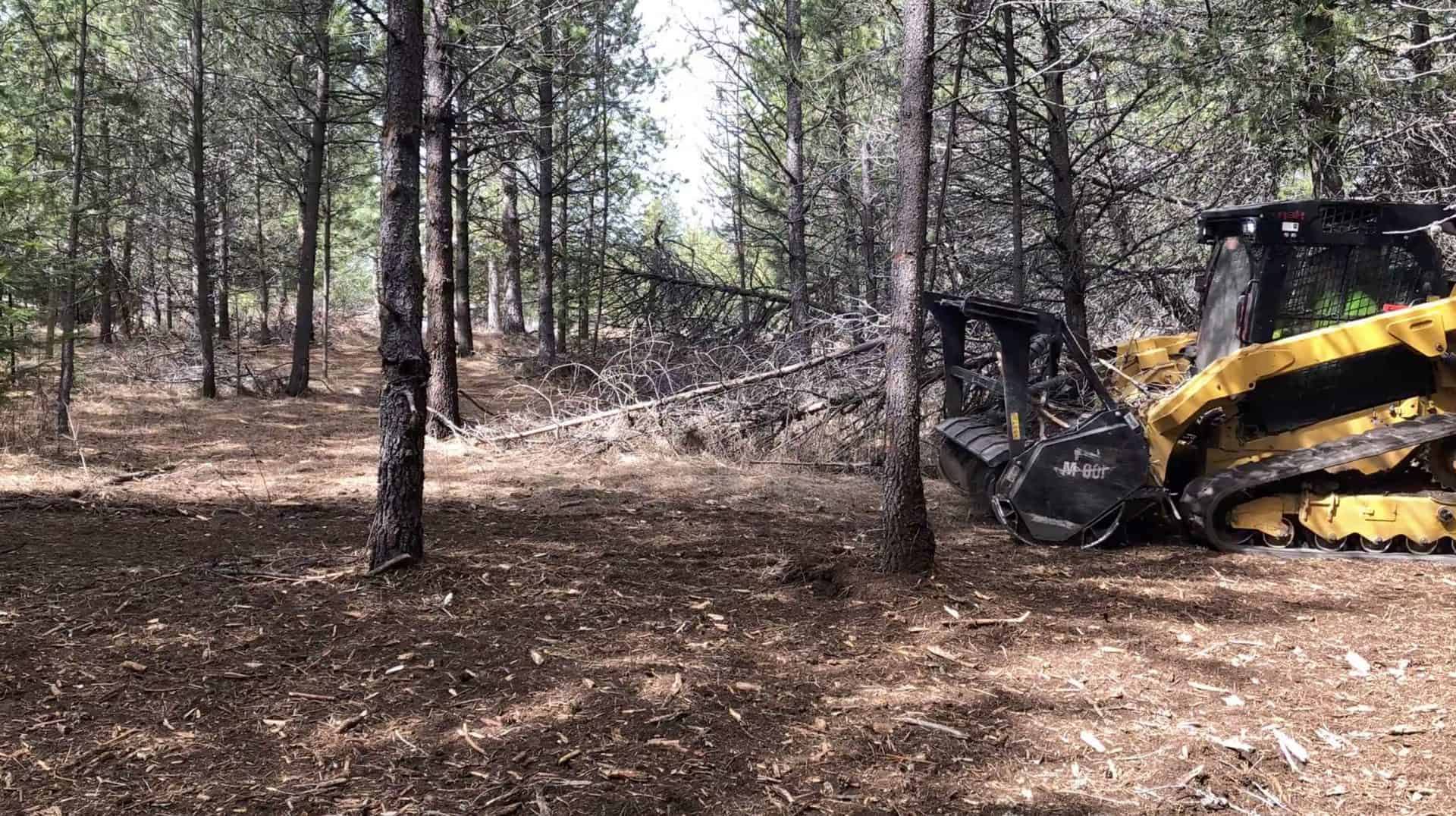 Land Clearing, Mulching, Logging | Kootenai County | Next Generation ...