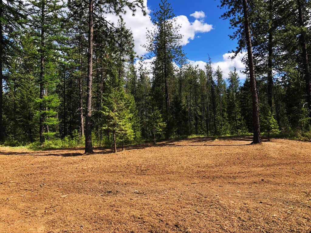 Land Clearing, Mulching, Logging | Kootenai County | Next Generation ...